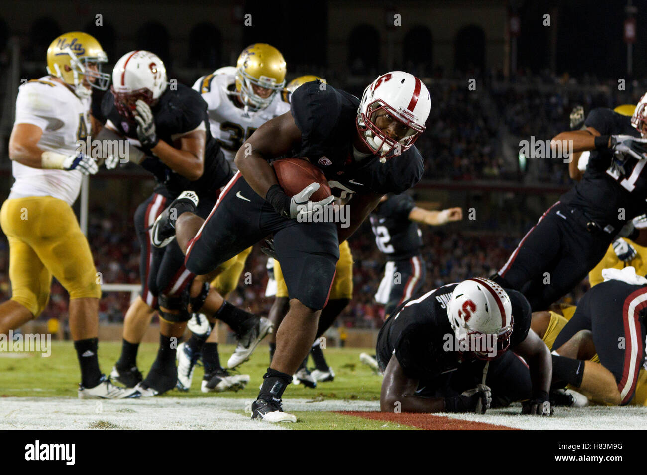 Jason taylor football player hi-res stock photography and images - Alamy
