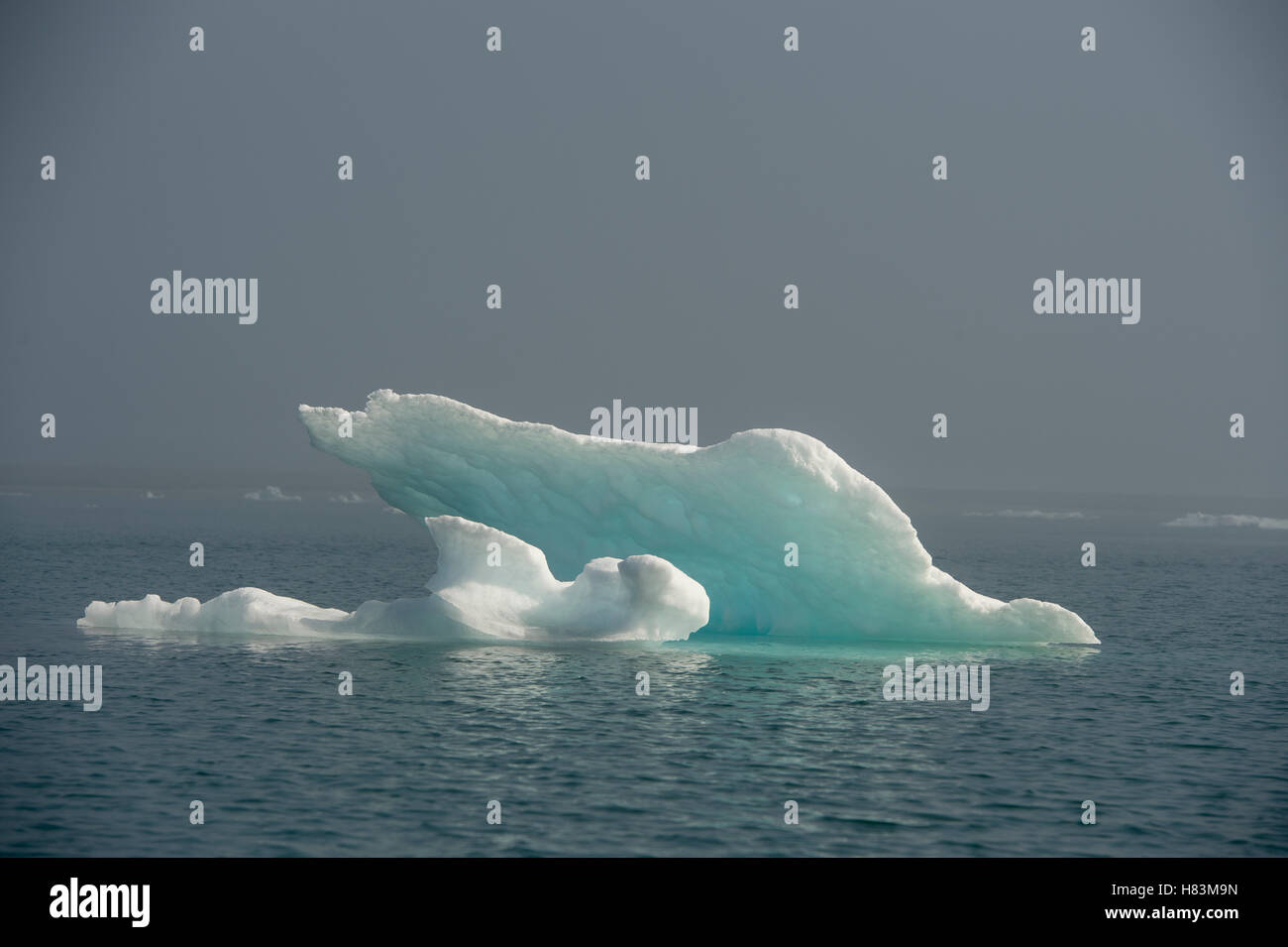 Floating iceberg, Wrangel Island, Russia Stock Photo - Alamy
