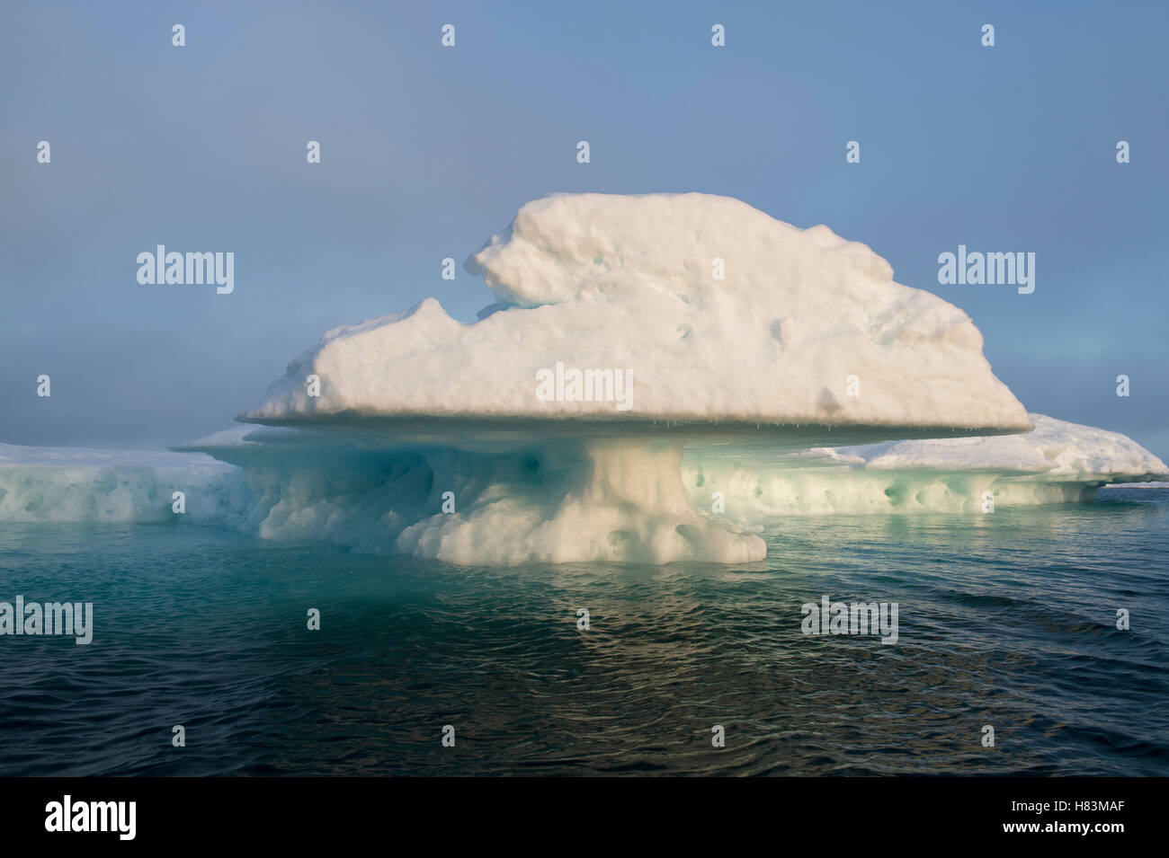 Floating iceberg with overhanging shelf, Wrangel Island, Russia Stock ...