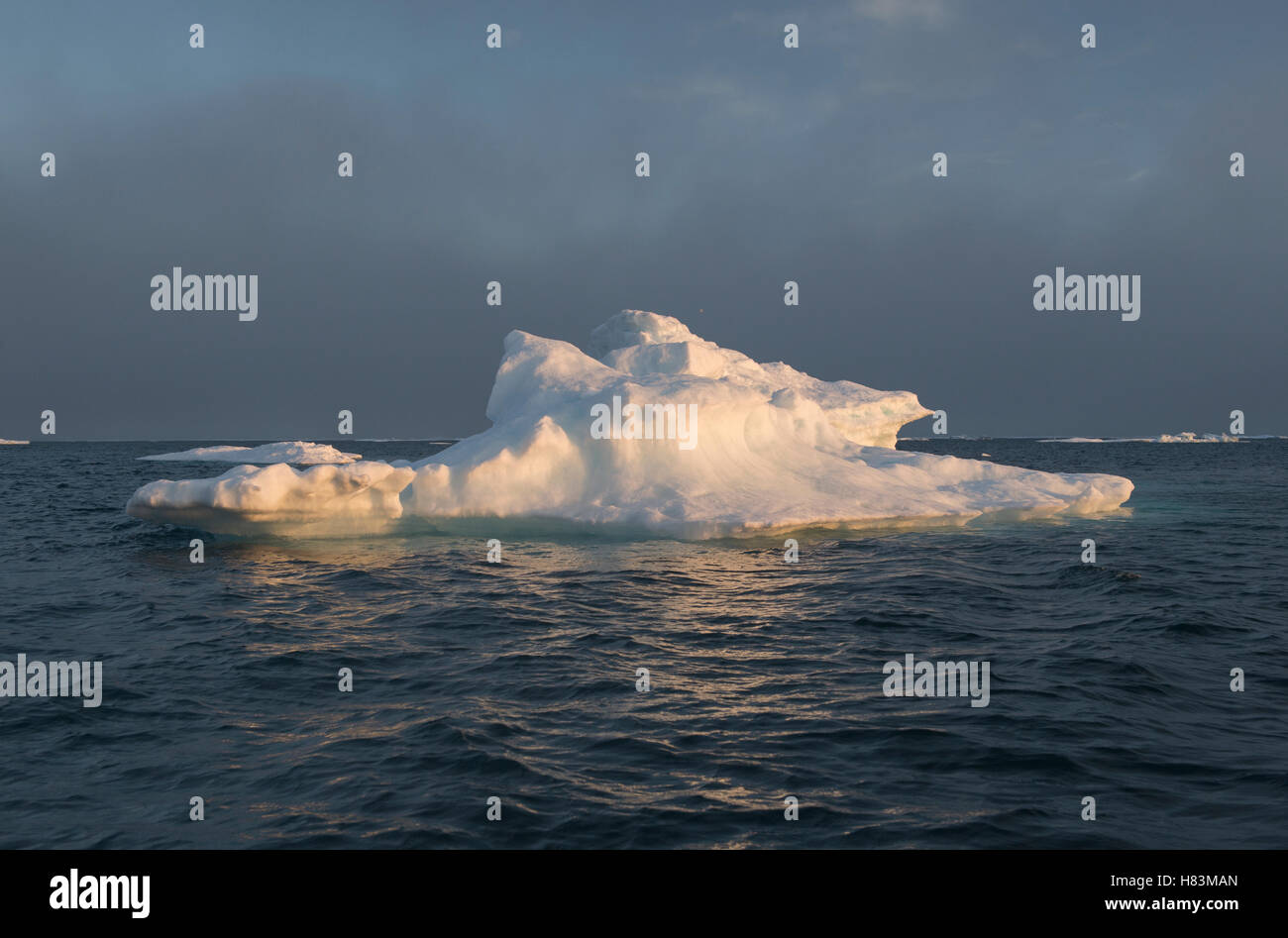 Floating iceberg, Wrangel Island, Russia Stock Photo - Alamy