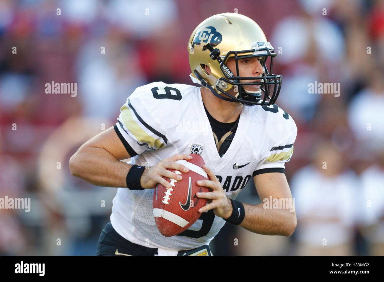 Colorado buffaloes football hi-res stock photography and images - Alamy