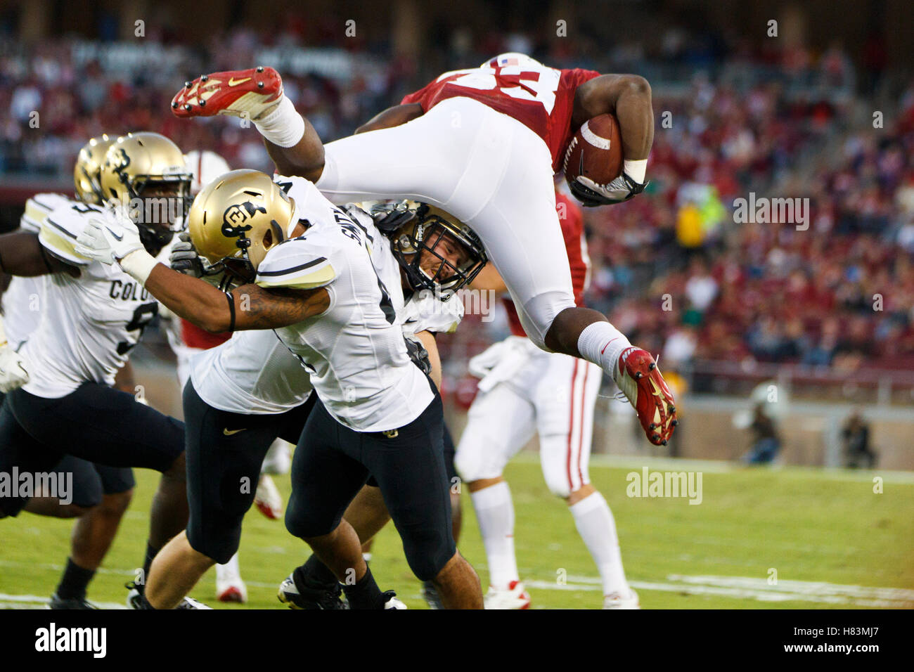 Oct 8, 2011; Stanford CA, USA; Stanford Cardinal running back Stepfan ...