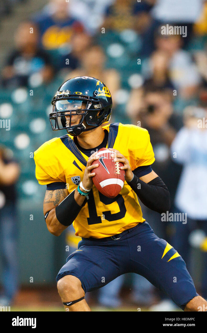 California golden bears hi-res stock photography and images - Alamy