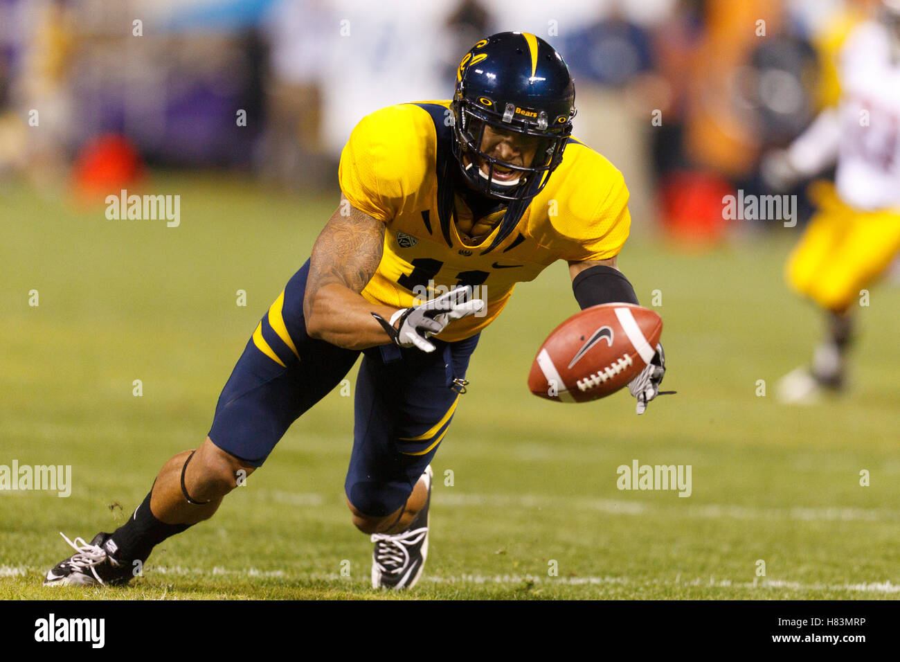Oct 13, 2011; San Francisco CA, USA; California Golden Bears wide ...