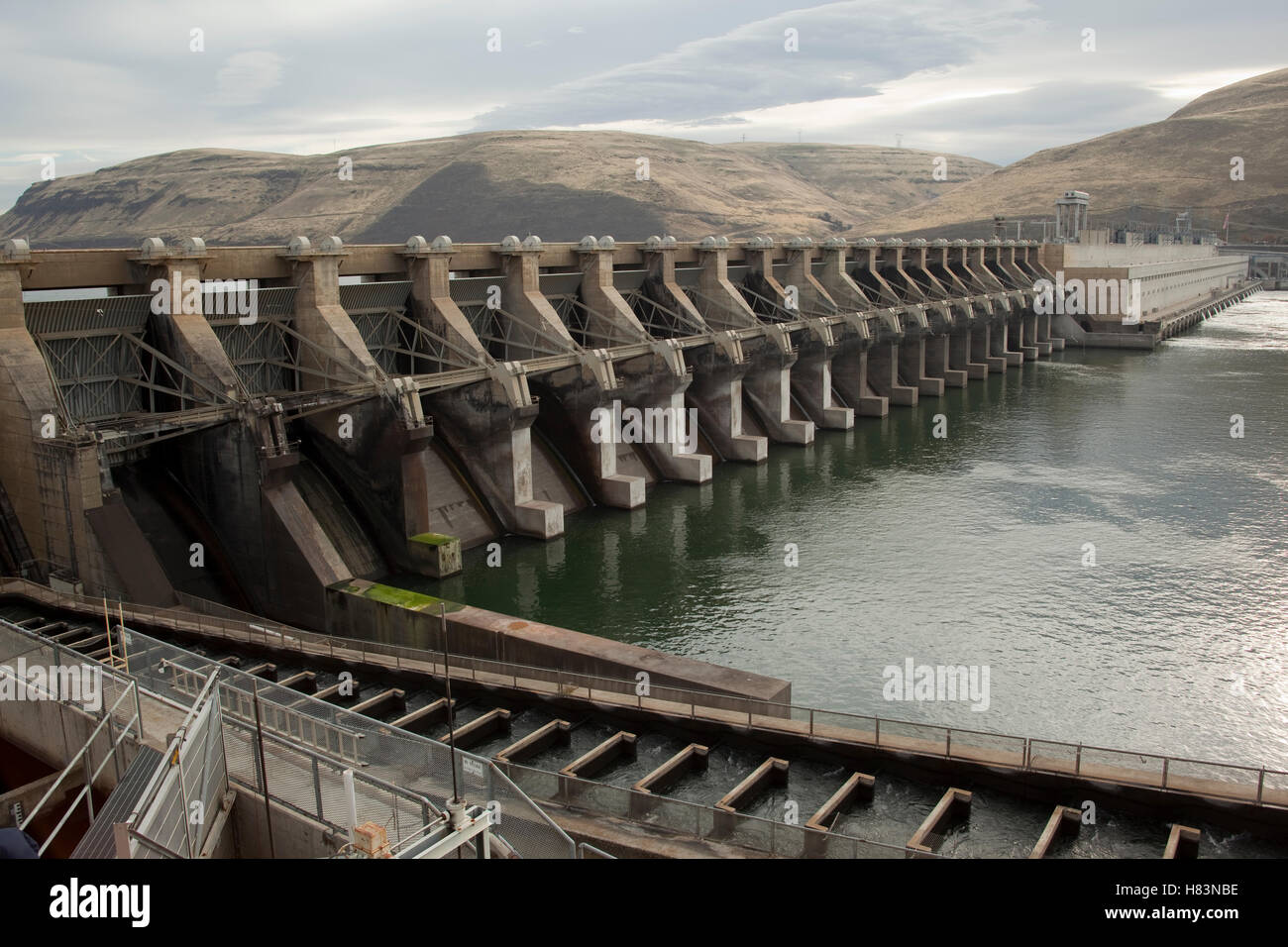 Fish ladders on John Day Dam, Columbia River, Oregon Stock Photo - Alamy