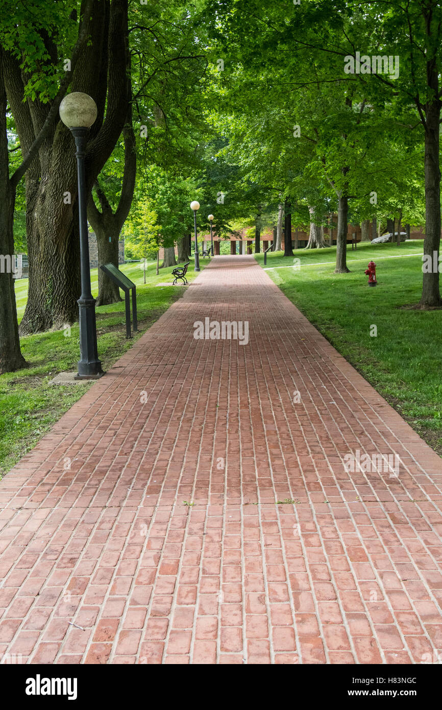 Brick pathway hi-res stock photography and images - Alamy