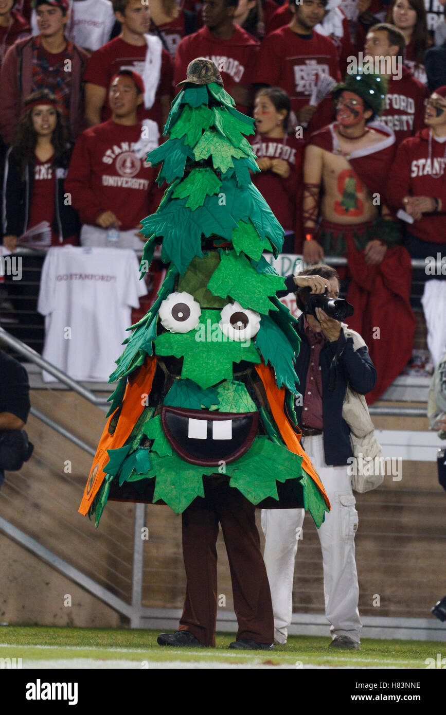 Stanford University Mascot 2022