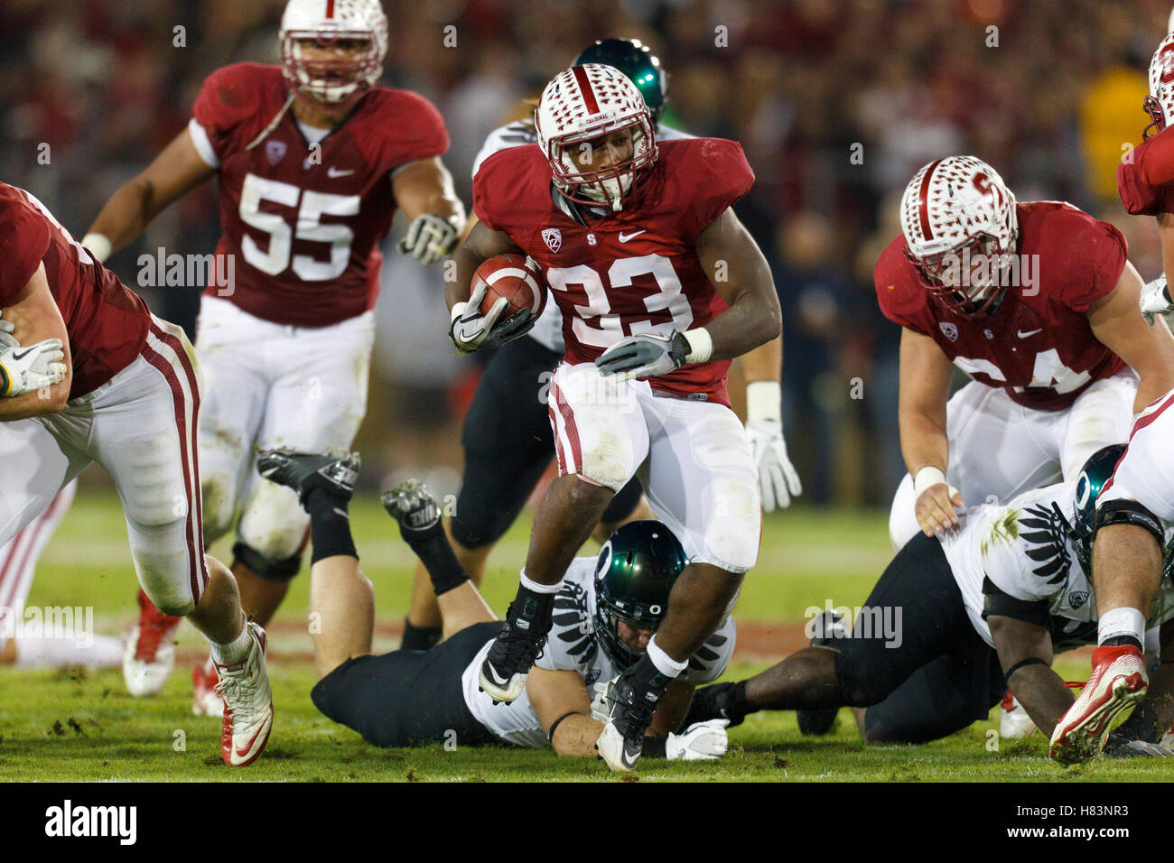 Stepfan Taylor High Resolution Stock Photography and Images - Alamy