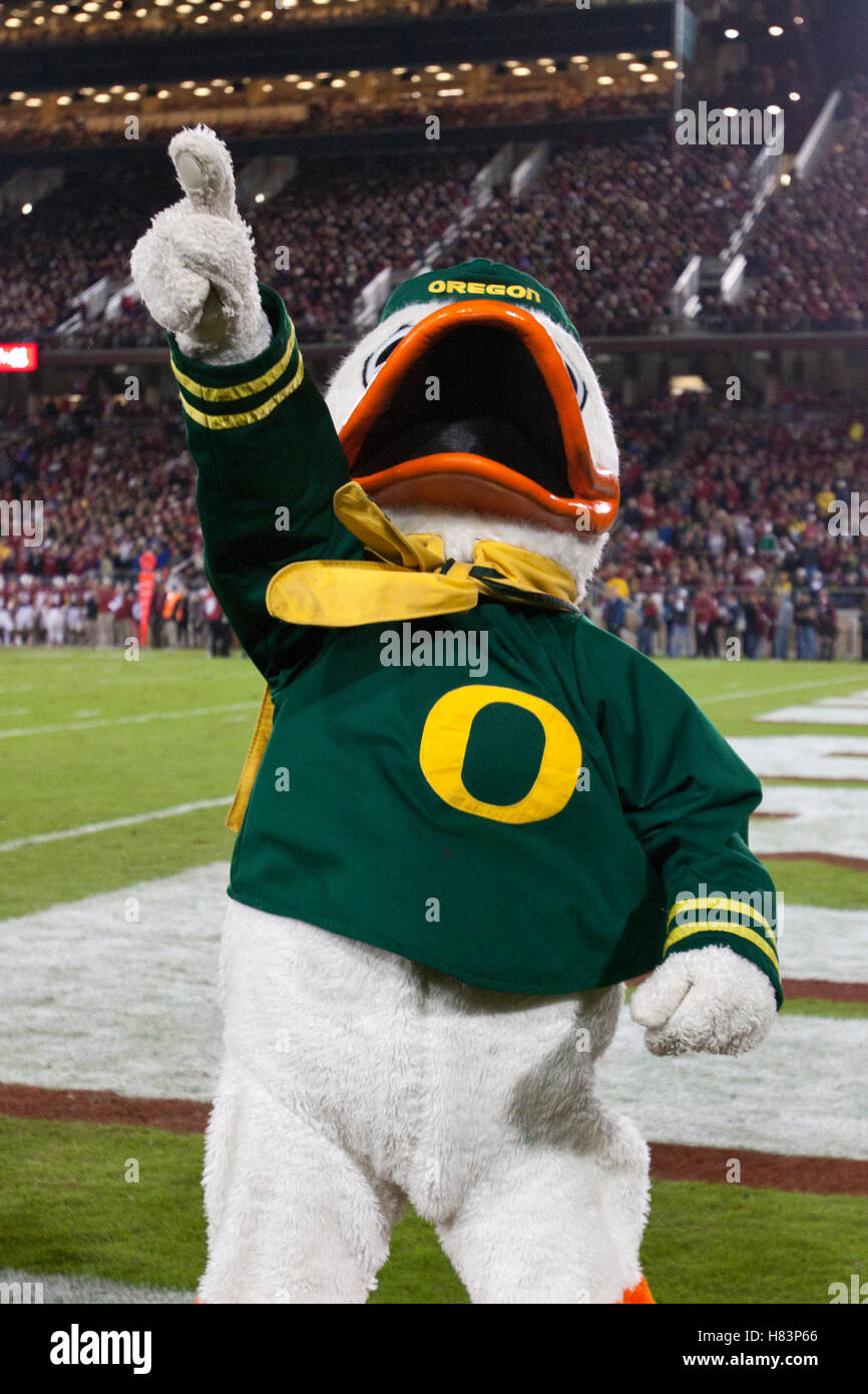 Nov 12, 2011; Stanford CA, USA; The Oregon Ducks mascot celebrates ...