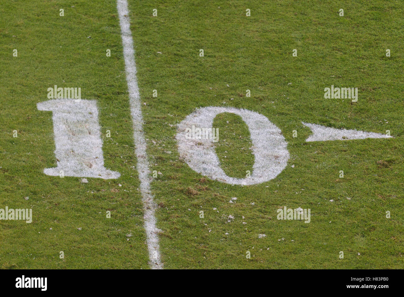 Nov 19, 2011; Stanford CA, USA; Detailed view of the 20 yard line ...
