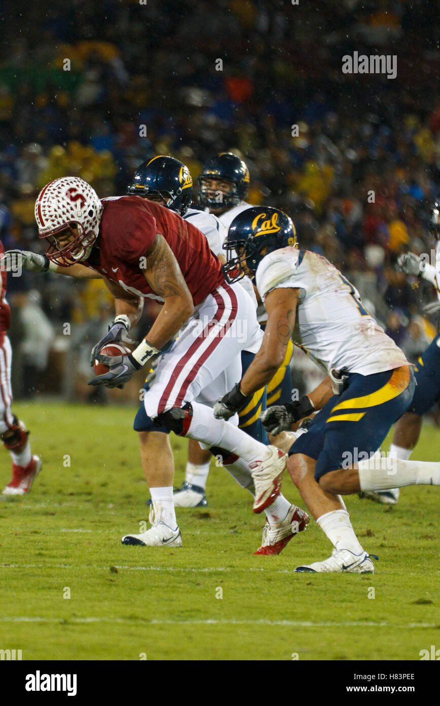 Nov 19, 2011; Stanford CA, USA; Stanford Cardinal tight end Levine ... Nov 19, 2011; Stanford CA, USA; Stanford Cardinal tight end Levine ...