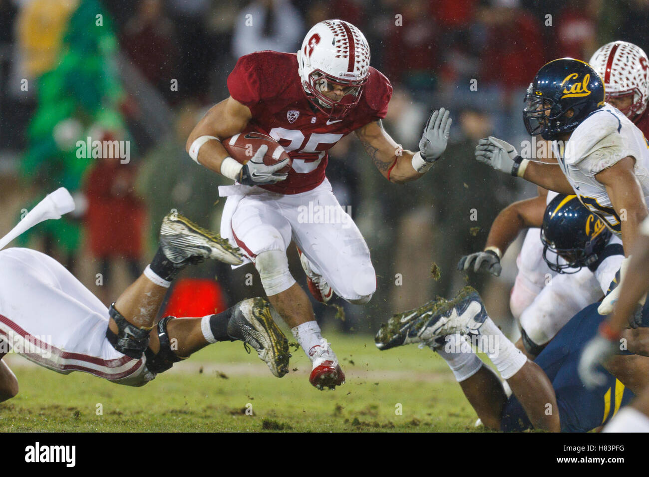 Nov 19, 2011; Stanford CA, USA; Stanford Cardinal running back Tyler ...