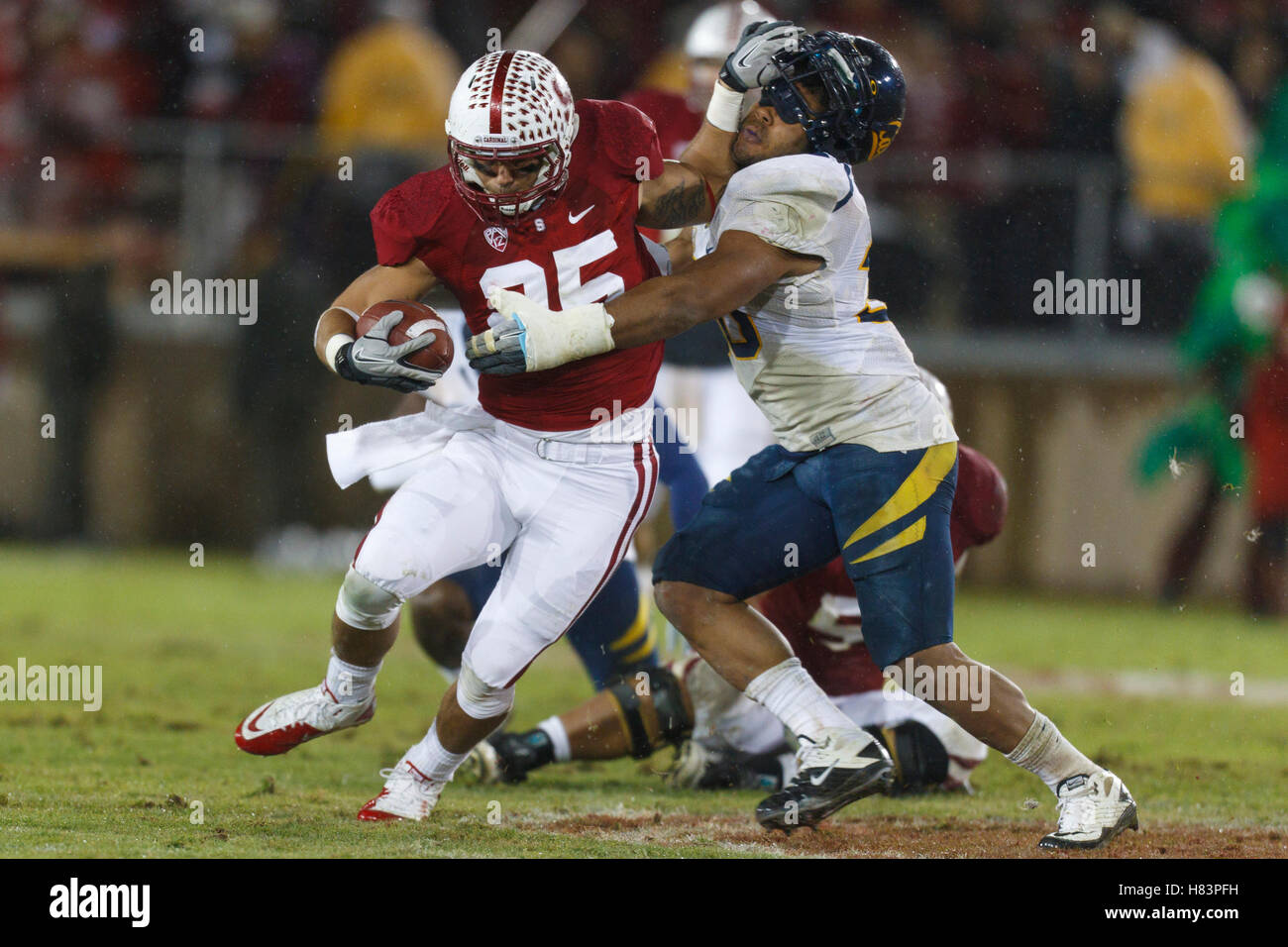Stanford arms hi-res stock photography and images - Alamy