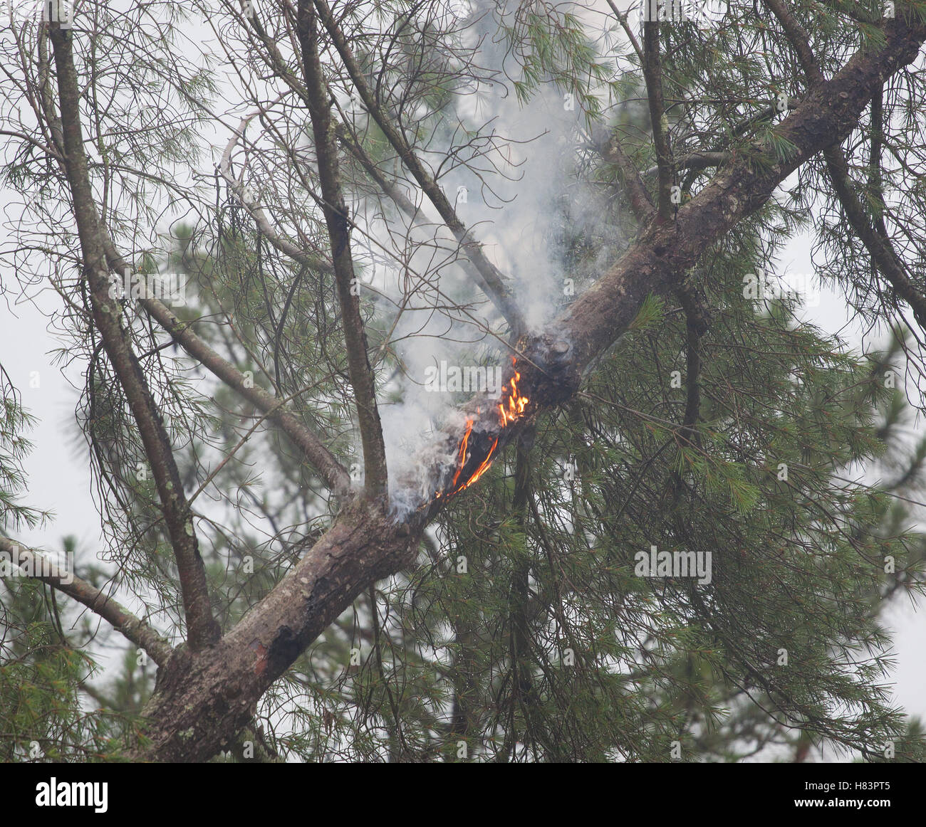 Starting lines hi-res stock photography and images - Alamy