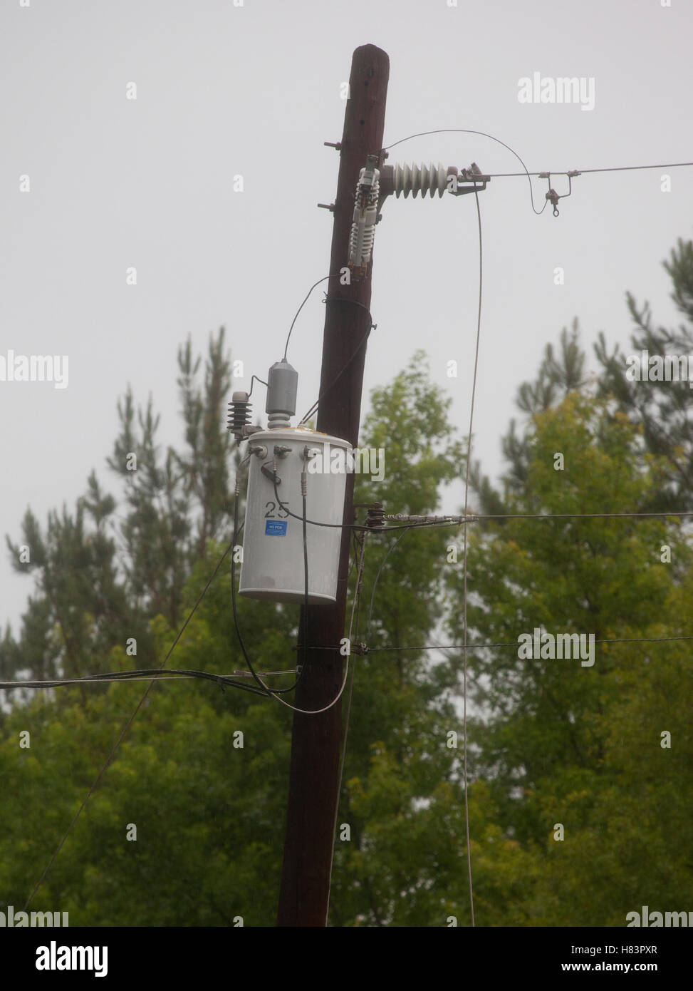 Transformer near some trees that has two wires that are down Stock ...