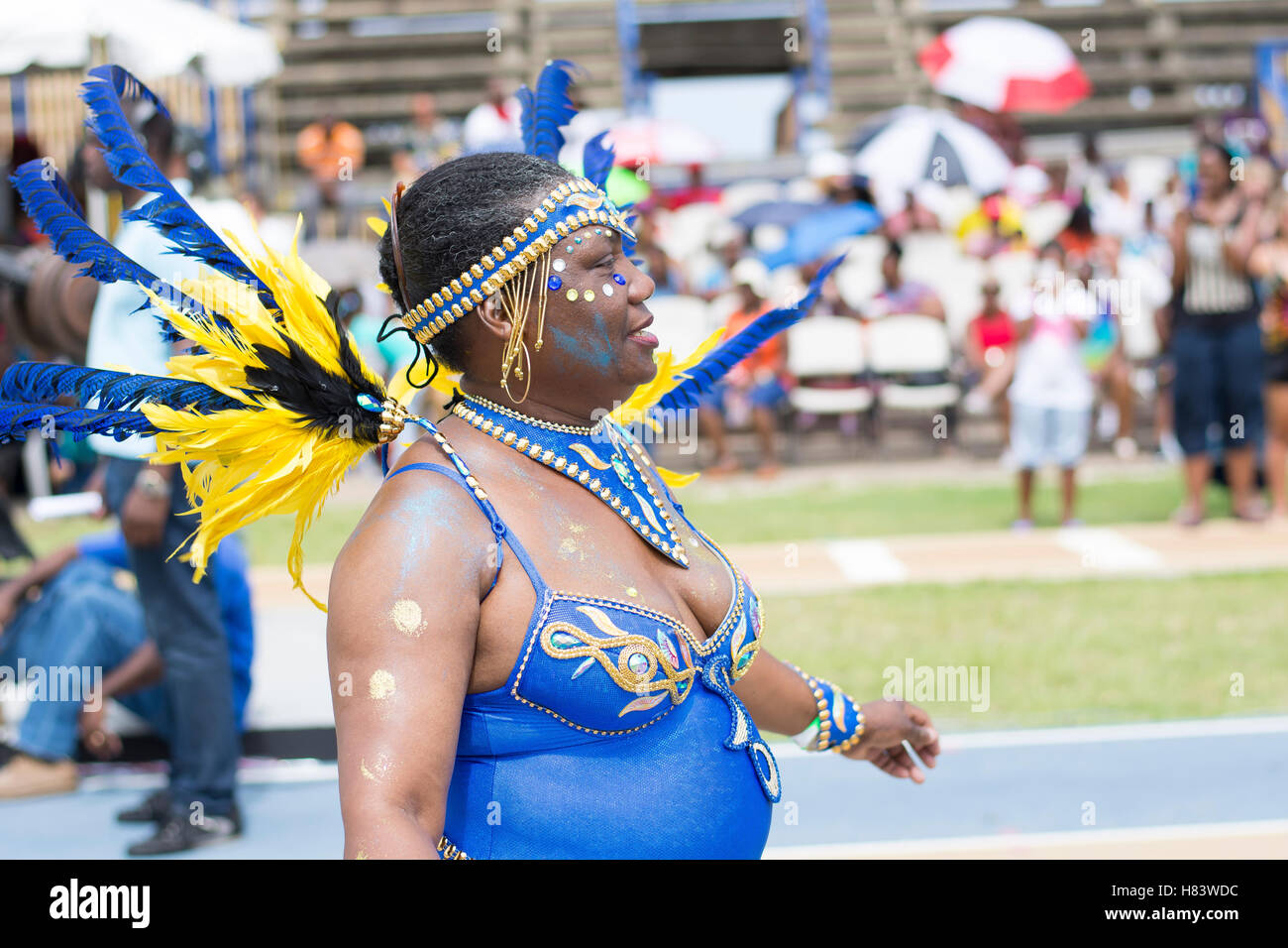 Barbados Crop Over Festival (Grand Kadooment 2016 in Barbados Stock Photo - Alamy