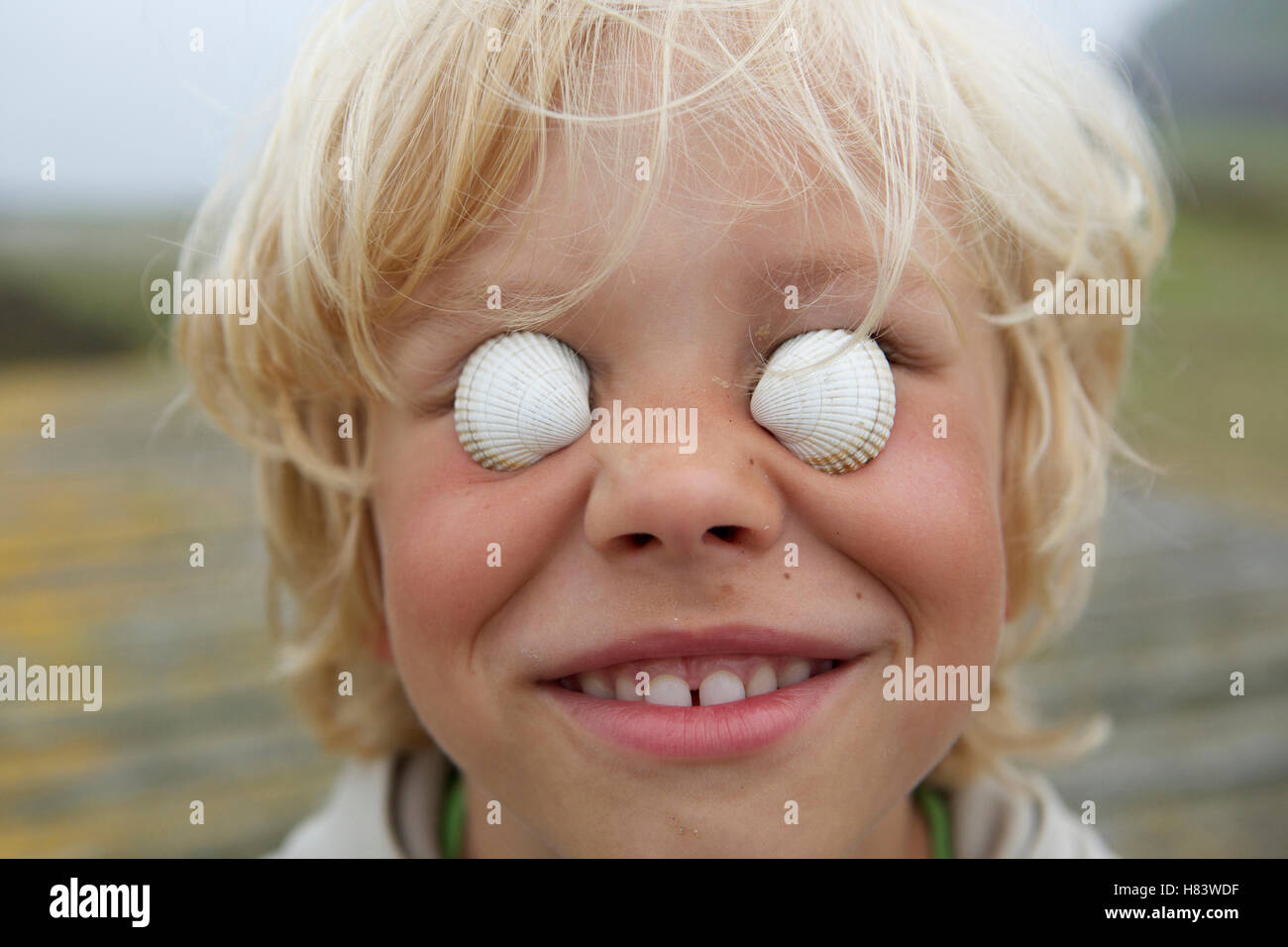 Common Cockle (Cerastoderma edule) shells on boy's eyes, France Stock ...