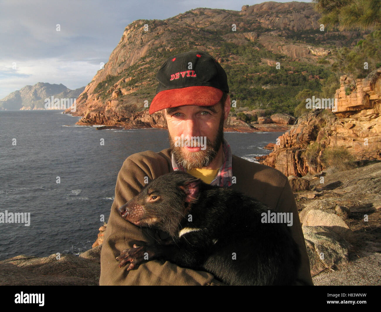 Tasmanian Devil (Sarcophilus harrisii) captive breeding expert, Androo ...