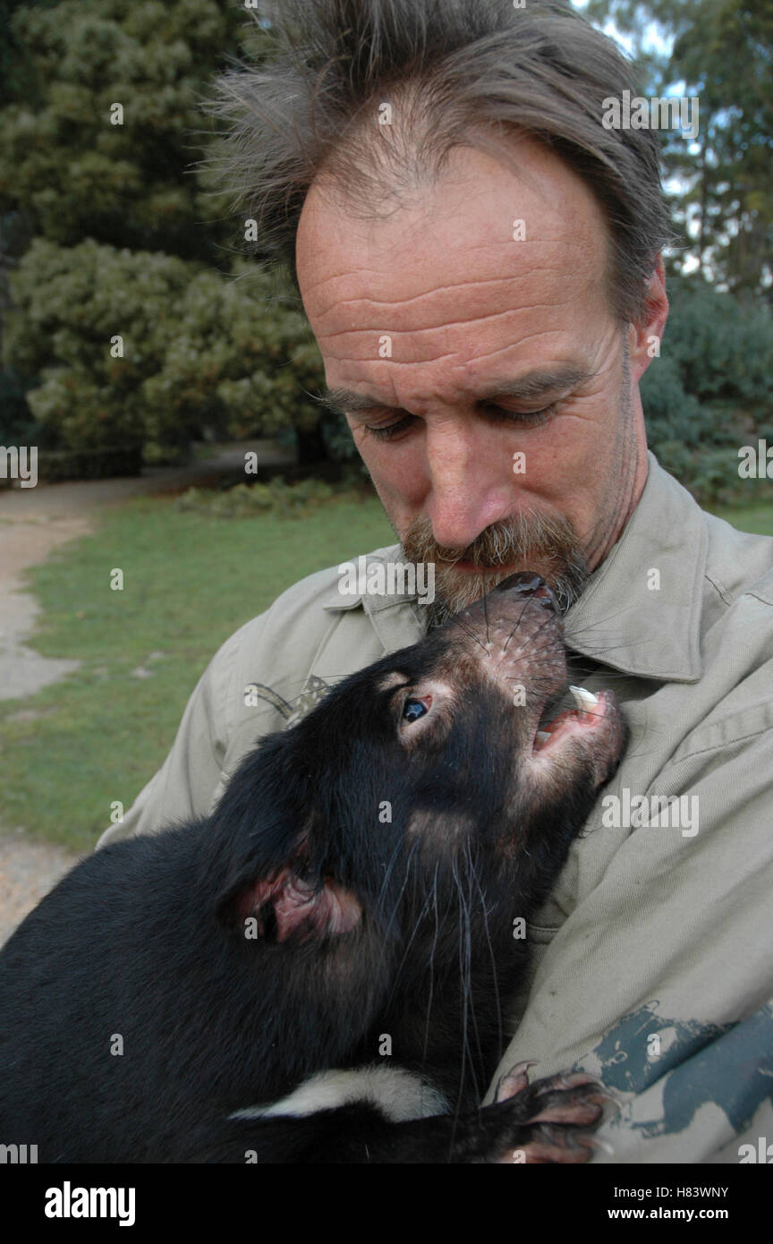Tasmanian Devil (Sarcophilus harrisii) captive breeding expert, Androo ...
