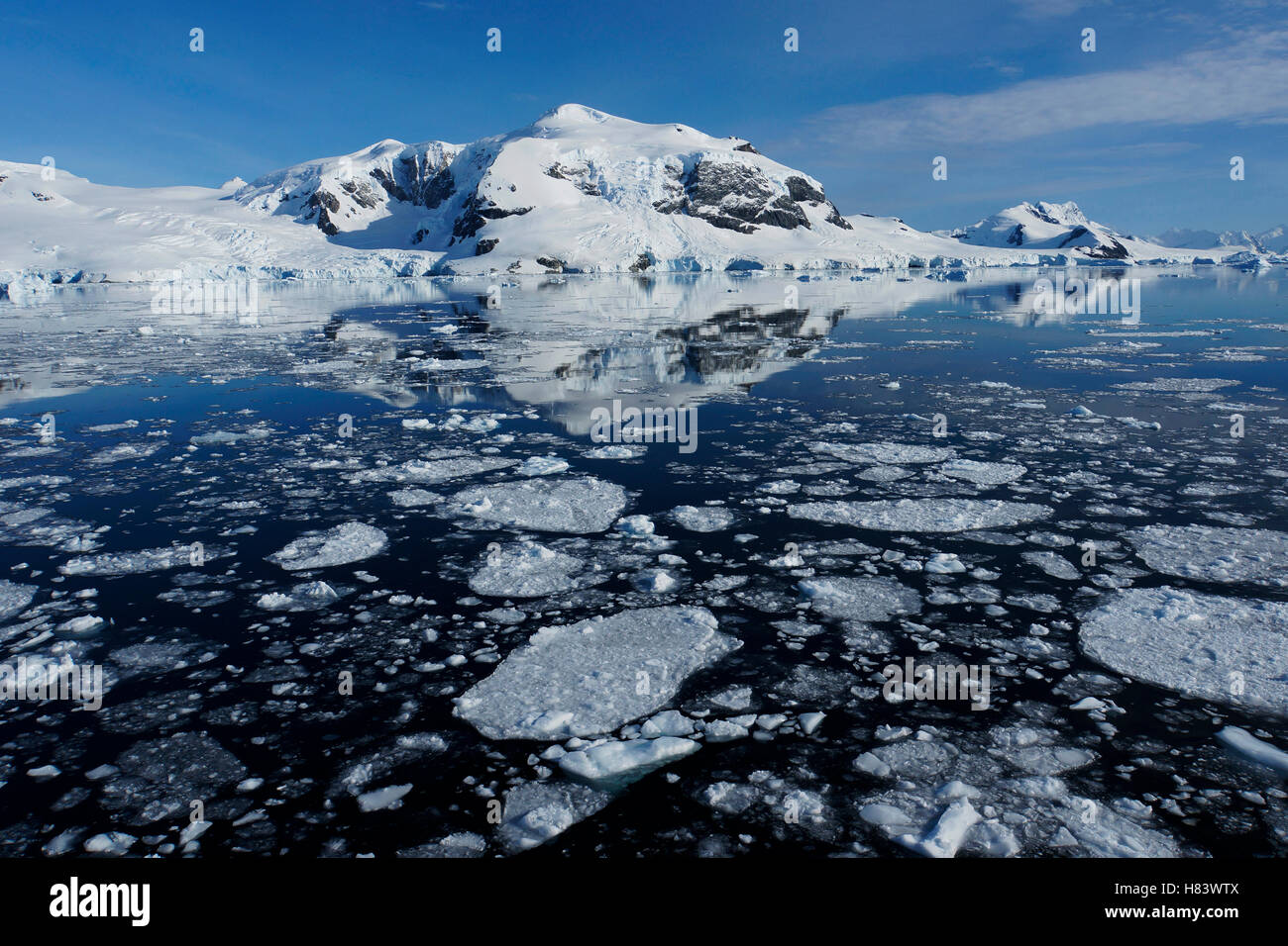 Pack ice, Antarctic Peninsula, Antarctica Stock Photo - Alamy