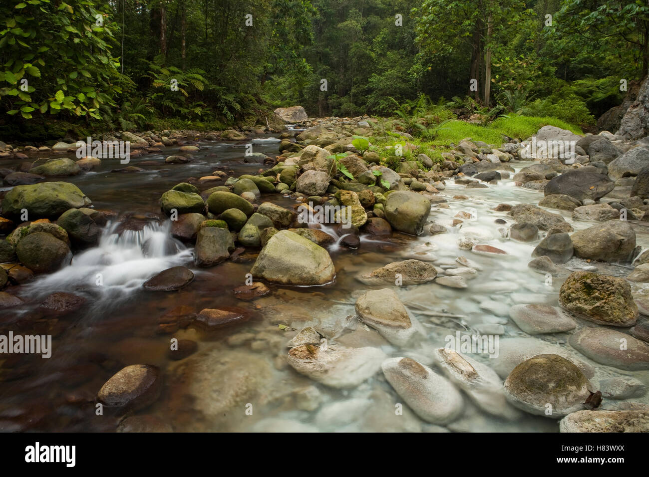 River joined by water from hot spring causing white sulphur deposits ...