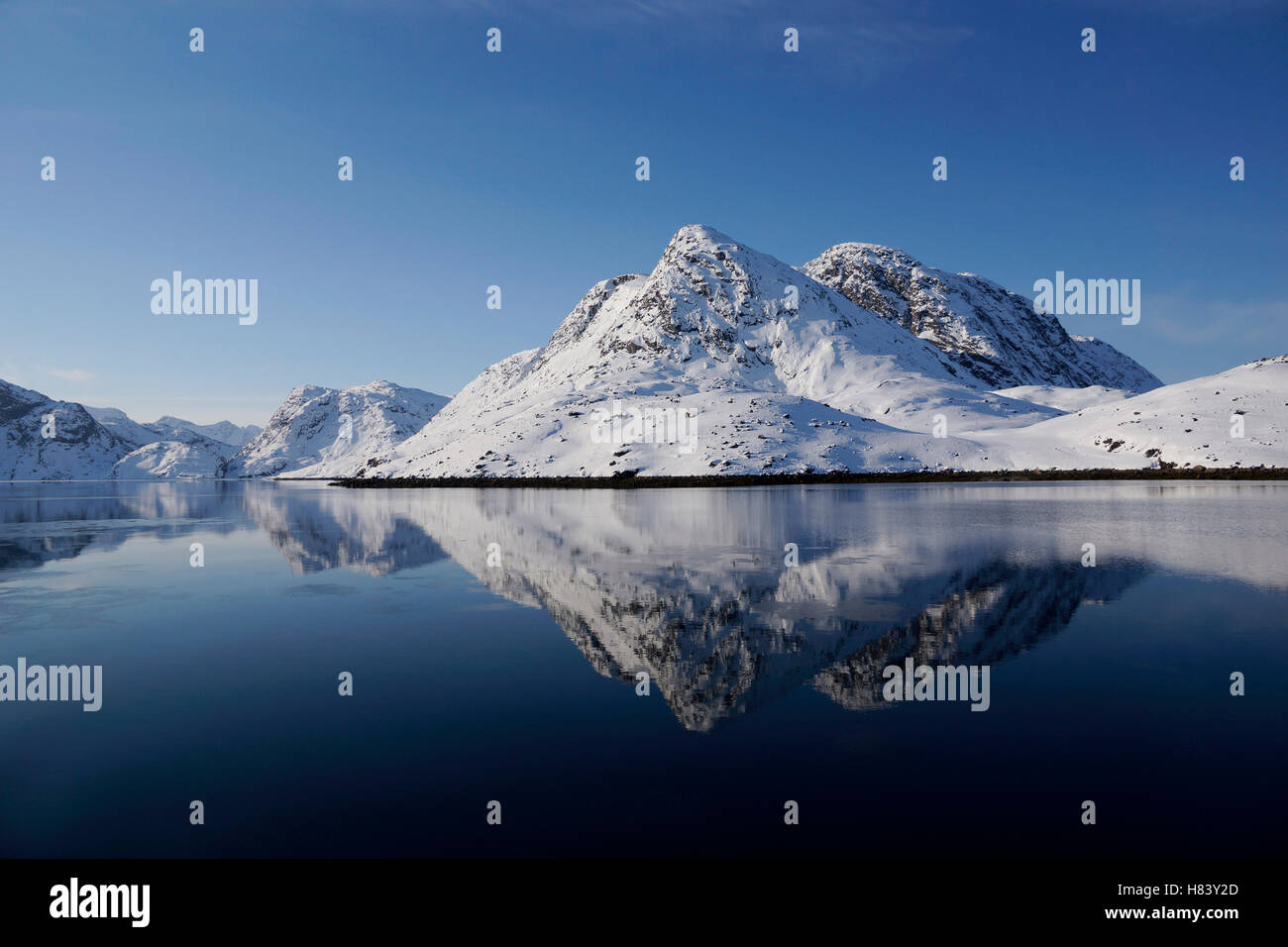 Fjord landscape, Greenland, Denmark Stock Photo - Alamy