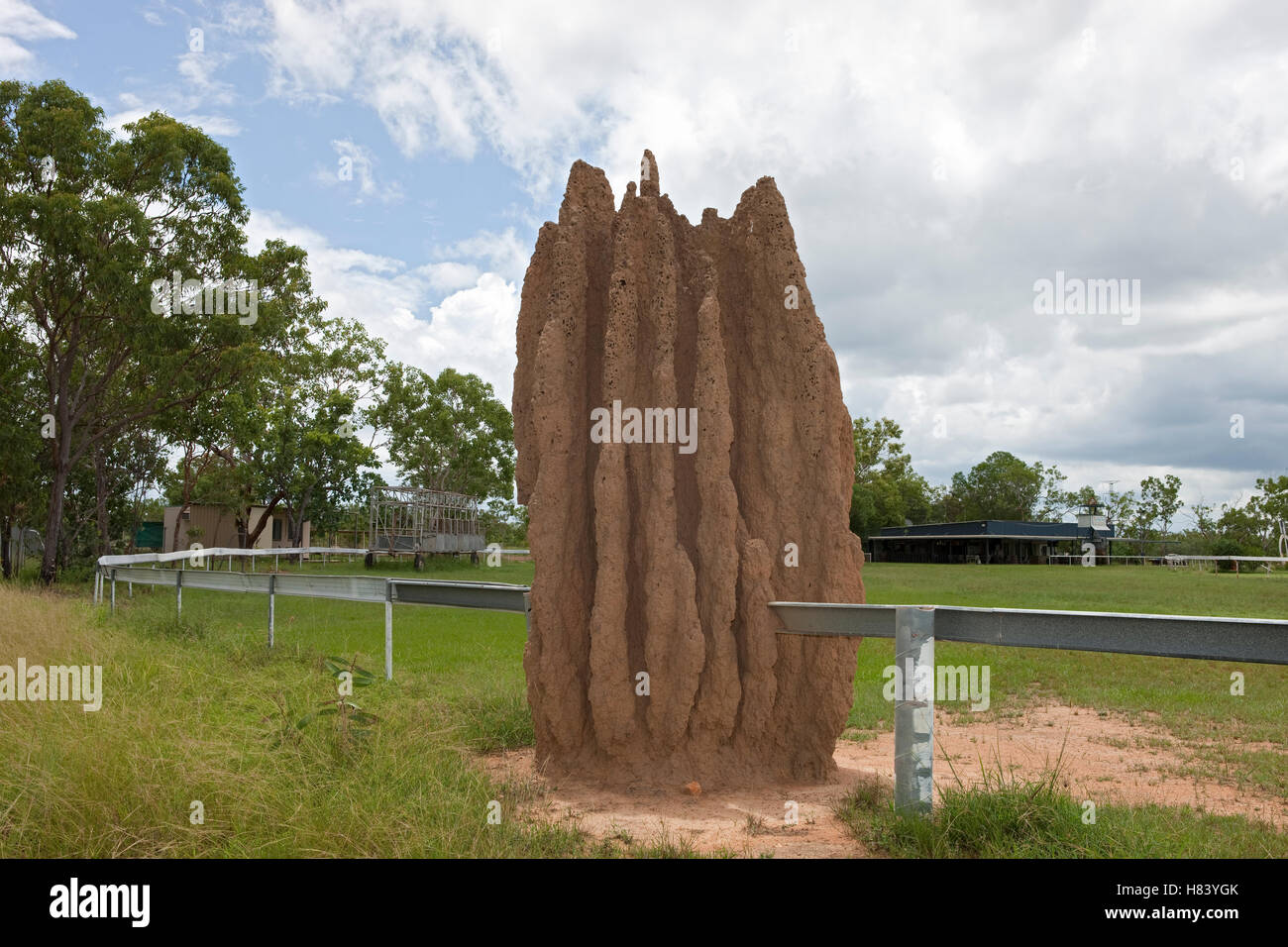 Cathedral termite mound integrated into race track, Pine Creek, Nothern ...
