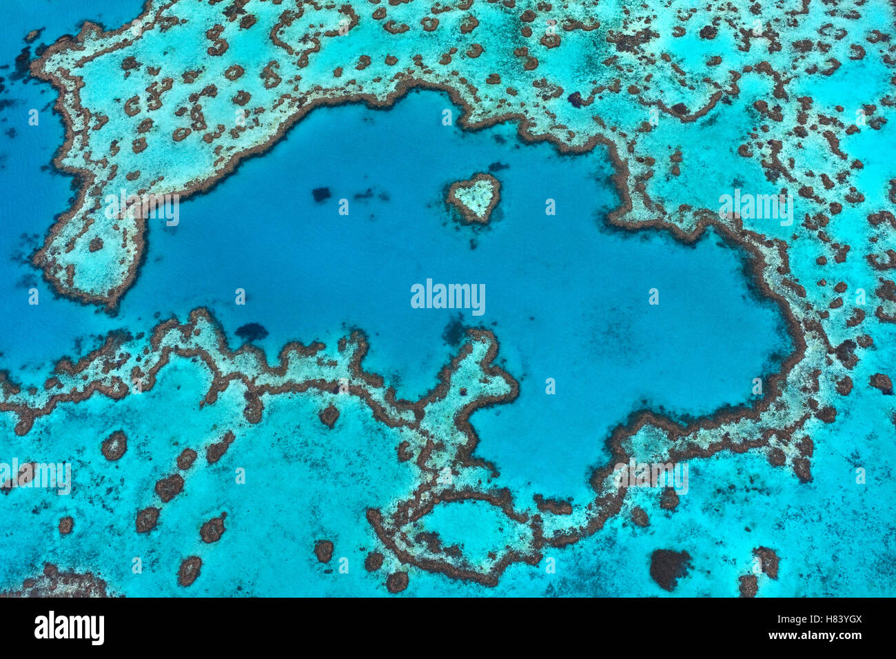 Coral formations on Hardy Reef, Great Barrier Reef, Queensland ...