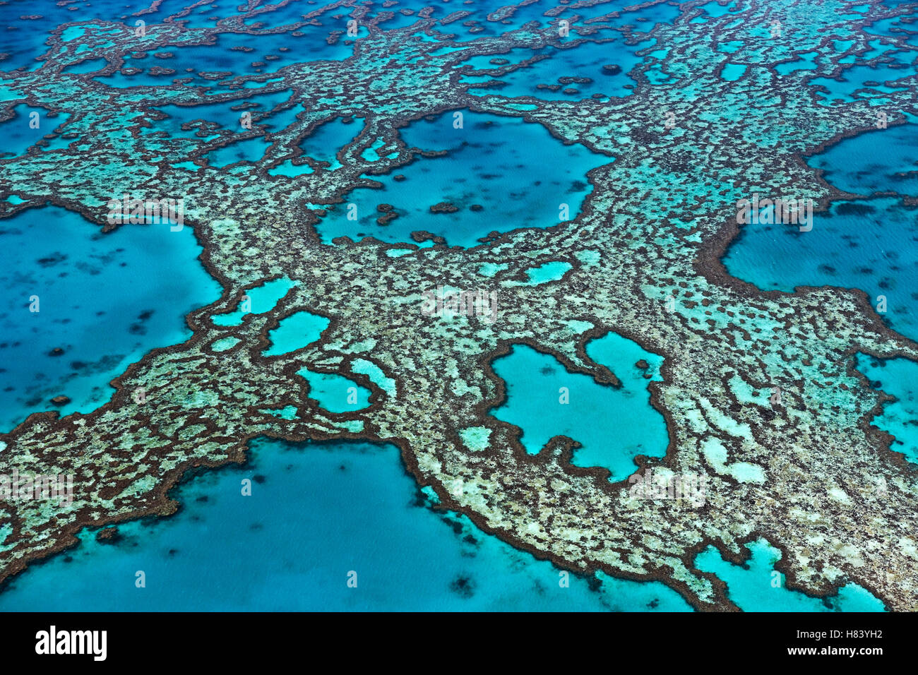 Coral formations on Hardy Reef, Great Barrier Reef, Queensland ...