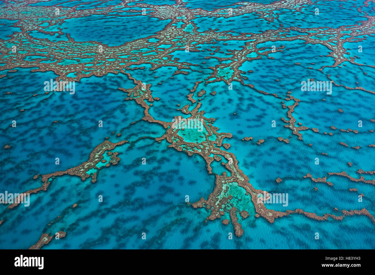 Coral formations on Hardy Reef, Great Barrier Reef, Queensland ...