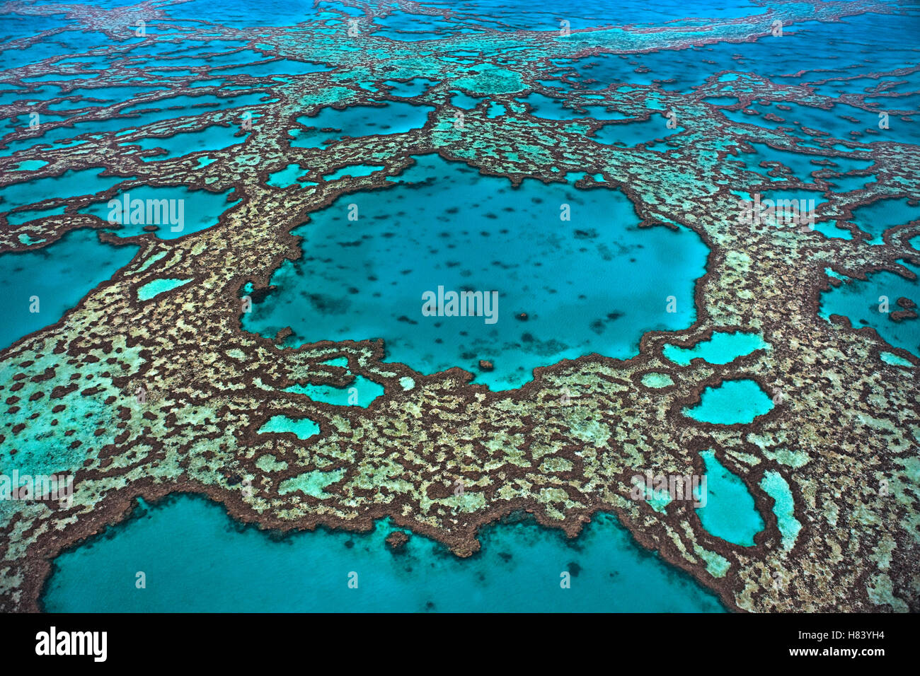 Coral formations on Hardy Reef, Great Barrier Reef, Queensland ...