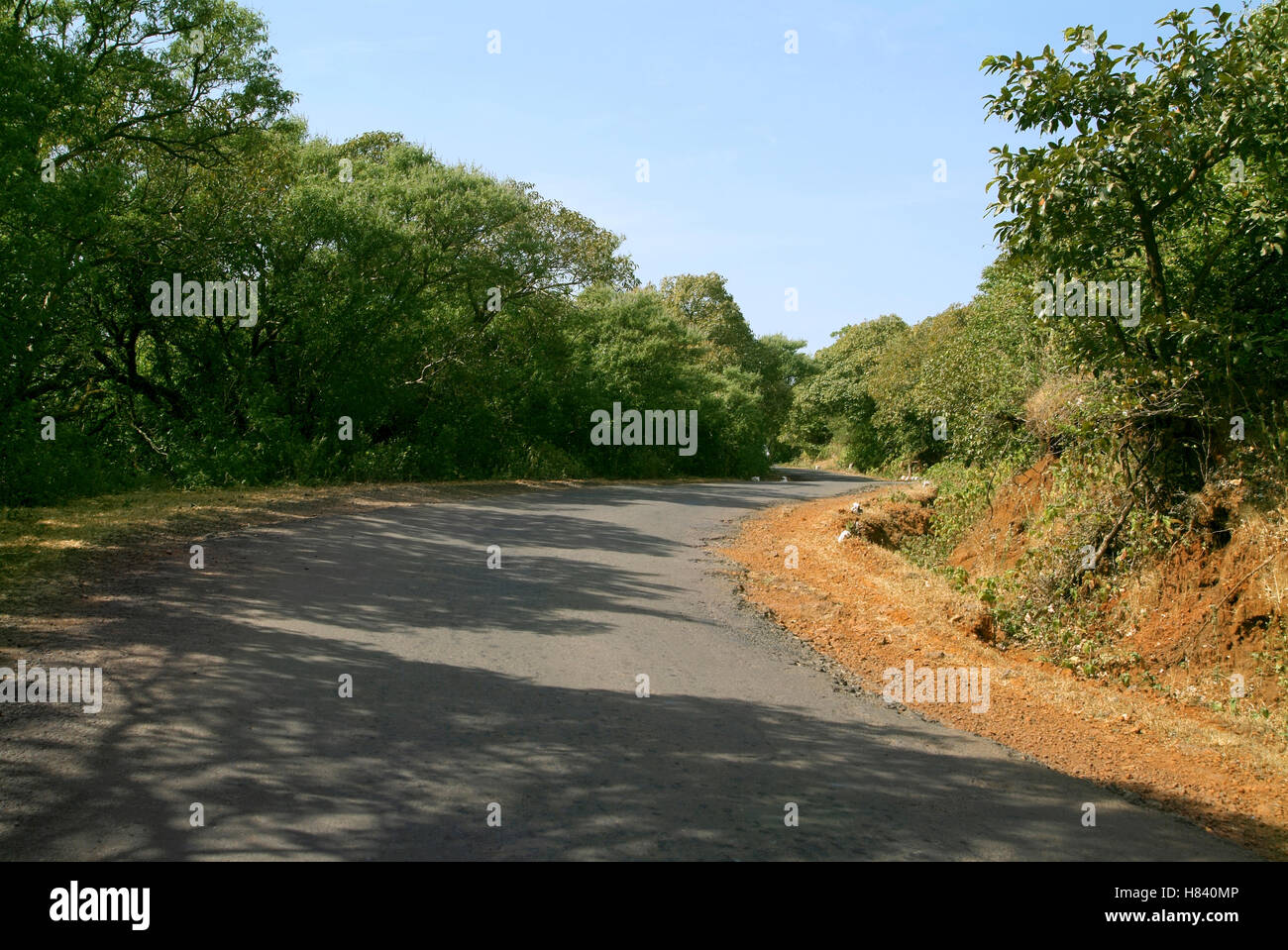 Rural road at Mahabaleshwar, Maharashtra Stock Photo - Alamy