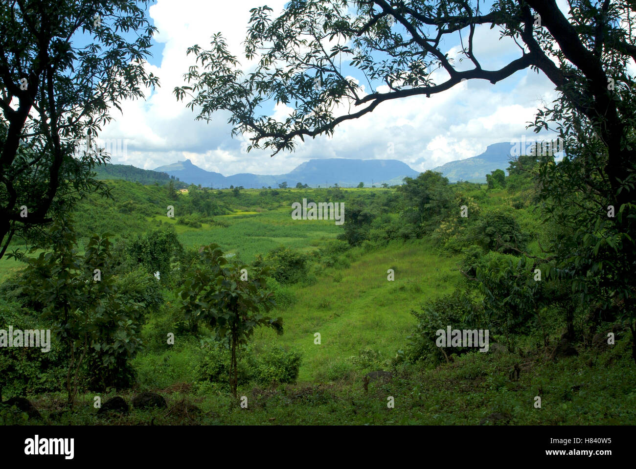 Maharashtra landscape hi-res stock photography and images - Alamy