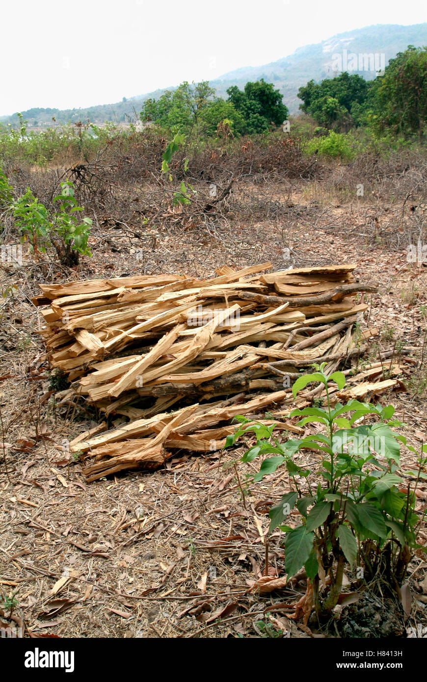 Rural indian cooking fuel hi-res stock photography and images - Alamy