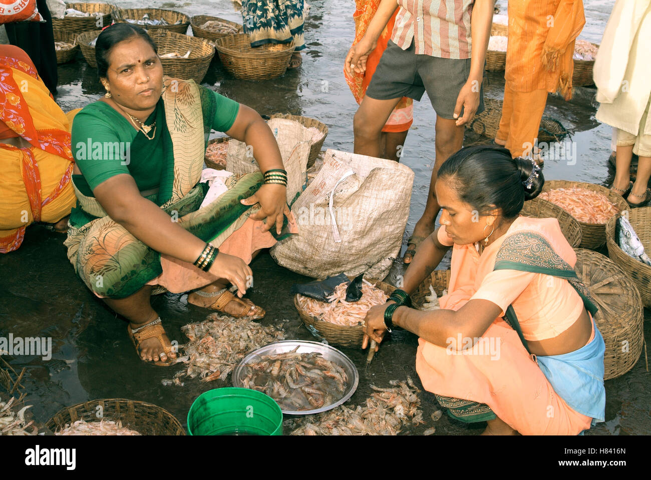 Fisher women selling fish in rural Maharashtra, India Stock Photo - Alamy