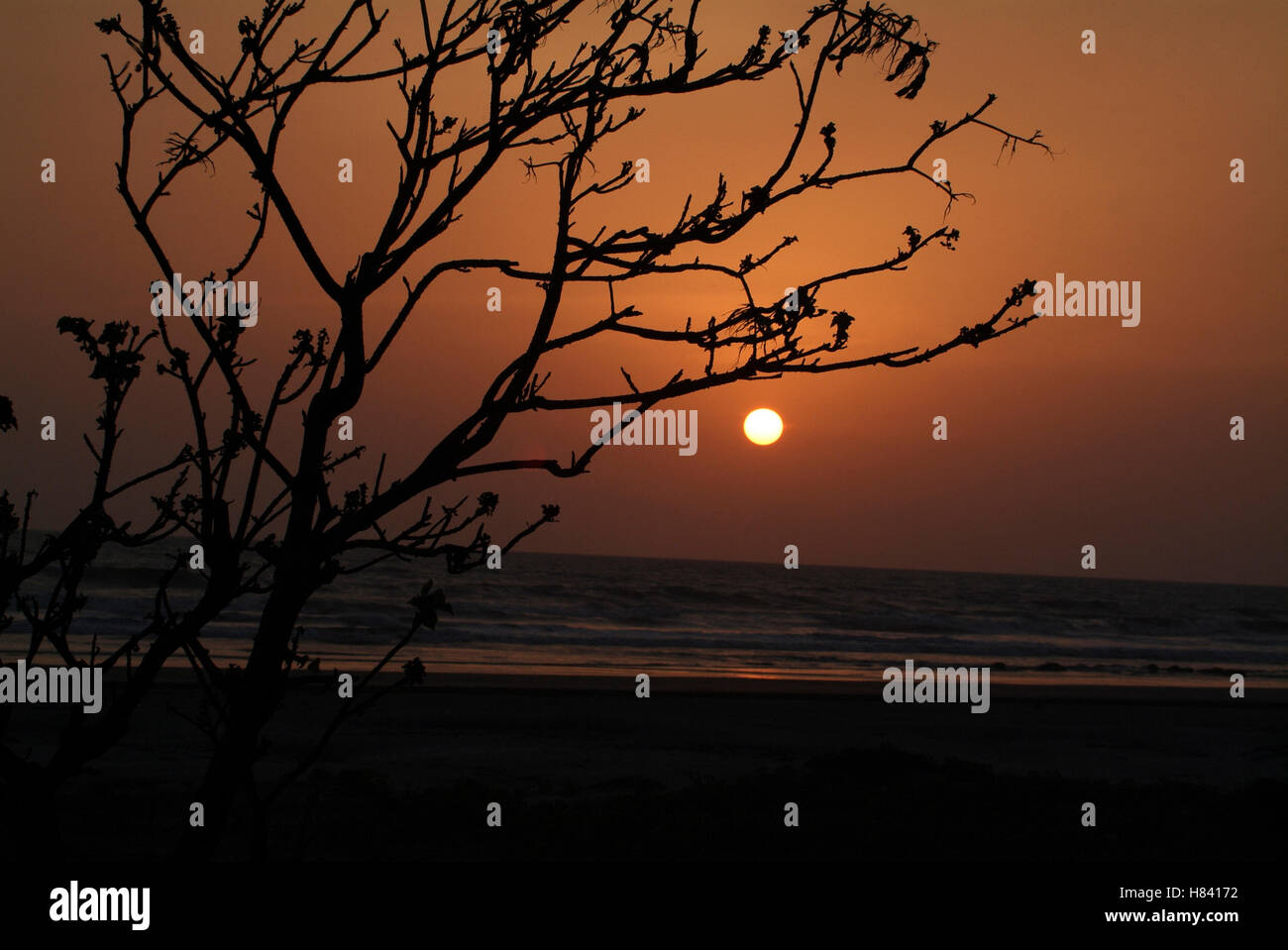 Dabhol hi-res stock photography and images - Alamy