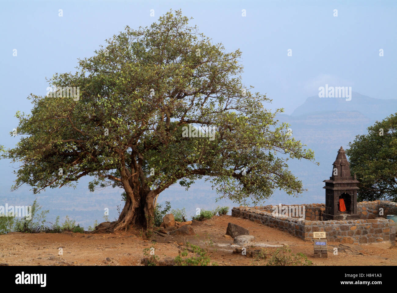 An old temple at Raigad Fort, Maharashtra, India Stock Photo - Alamy