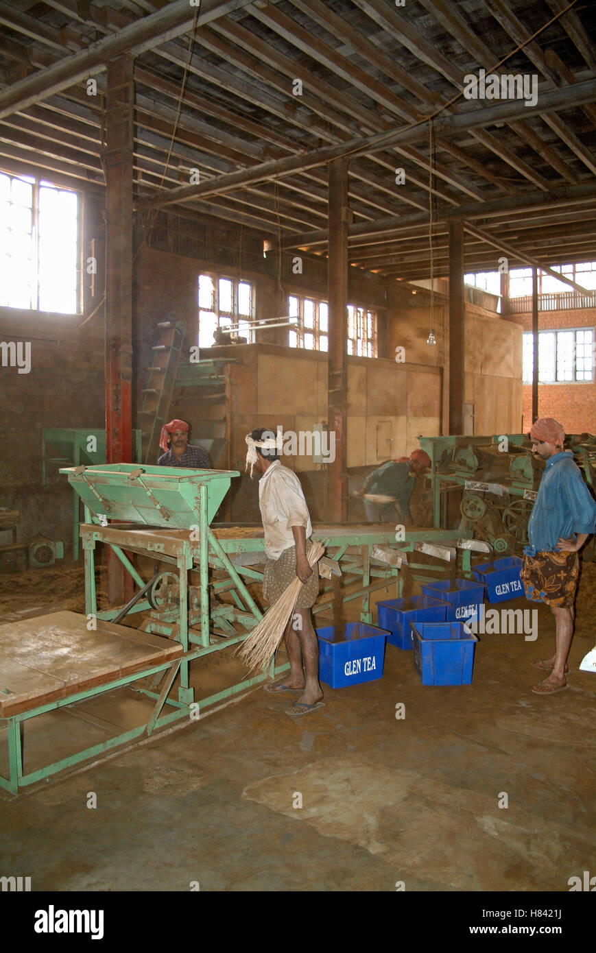 Workers working inside a tea factory Stock Photo - Alamy