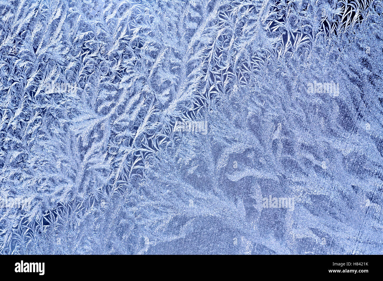 Closeup of beautiful frost pattern on a window Stock Photo - Alamy