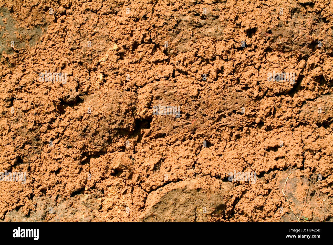 Close-up of a mud wall Stock Photo - Alamy