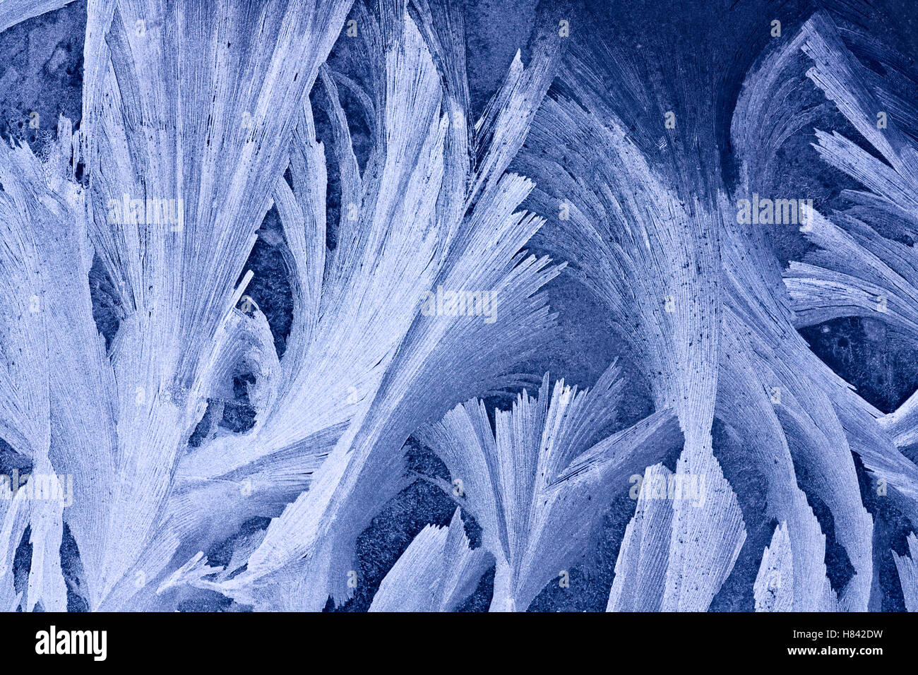 Closeup of beautiful frost pattern on a window Stock Photo - Alamy