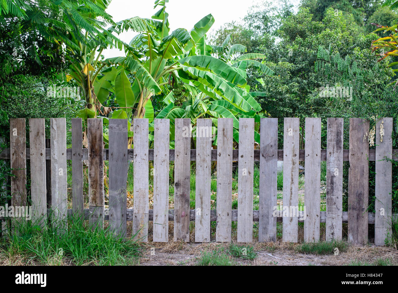 Wooden Picket fence garden Stock Photo - Alamy