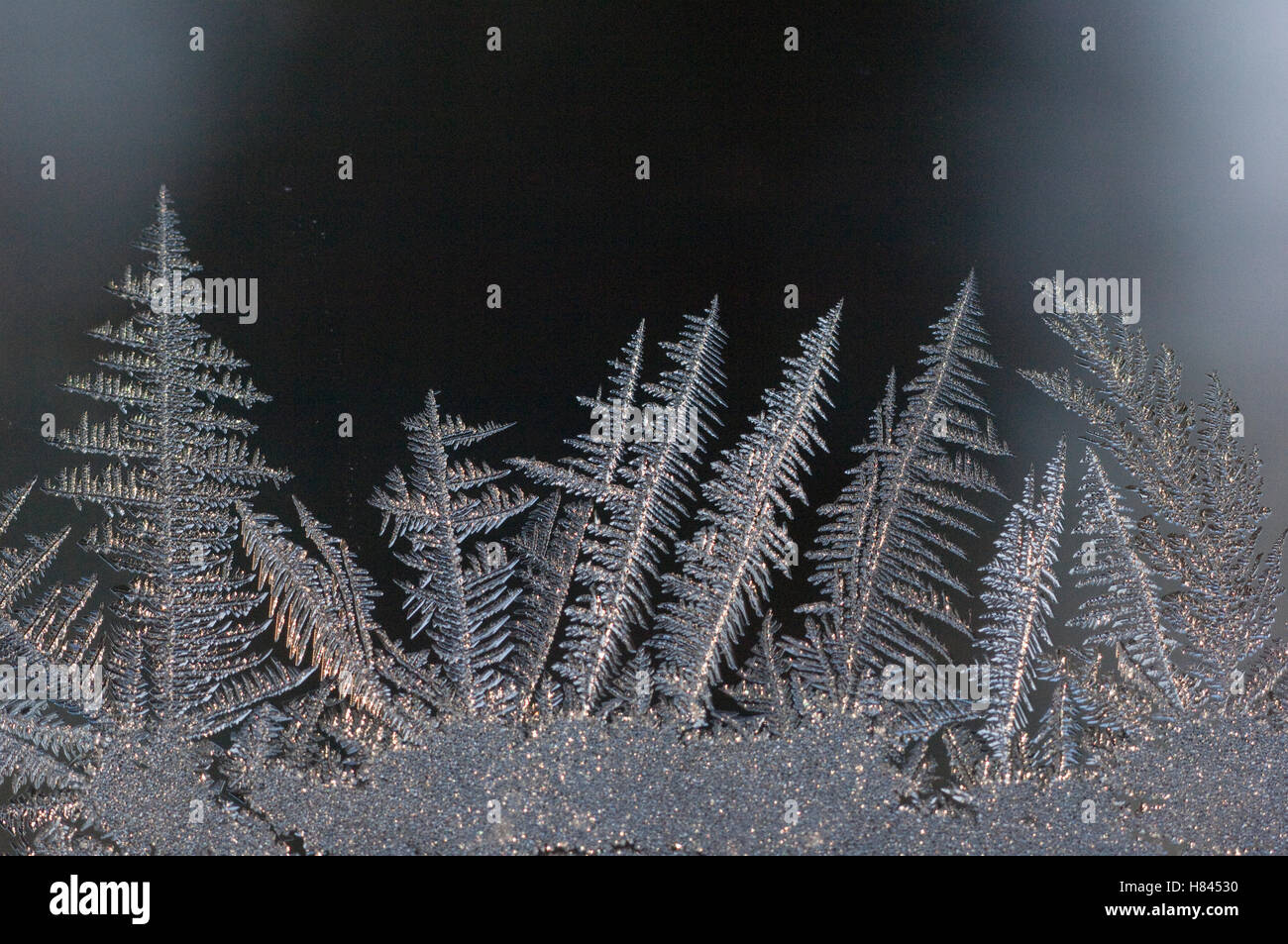 Frost on window, Alaska Stock Photo - Alamy