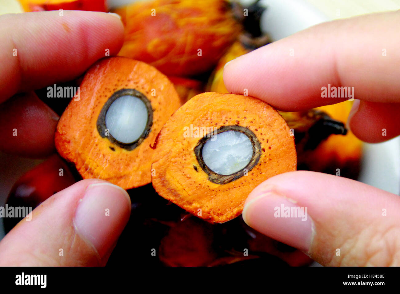 Palm oil hi-res stock photography and images - Alamy