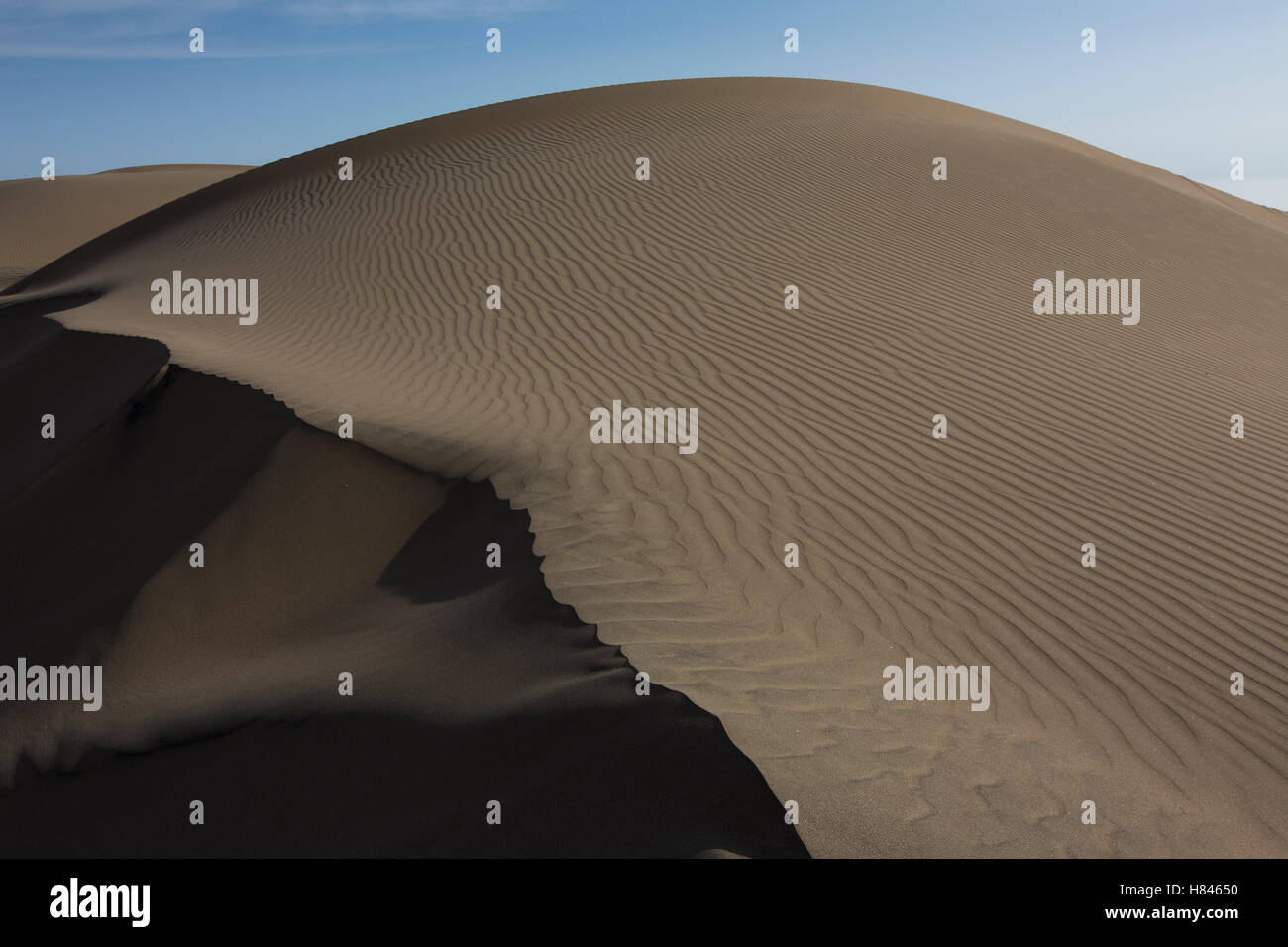 Sand dune, San Fernando Reserve, Nazca Desert, Peru Stock Photo - Alamy