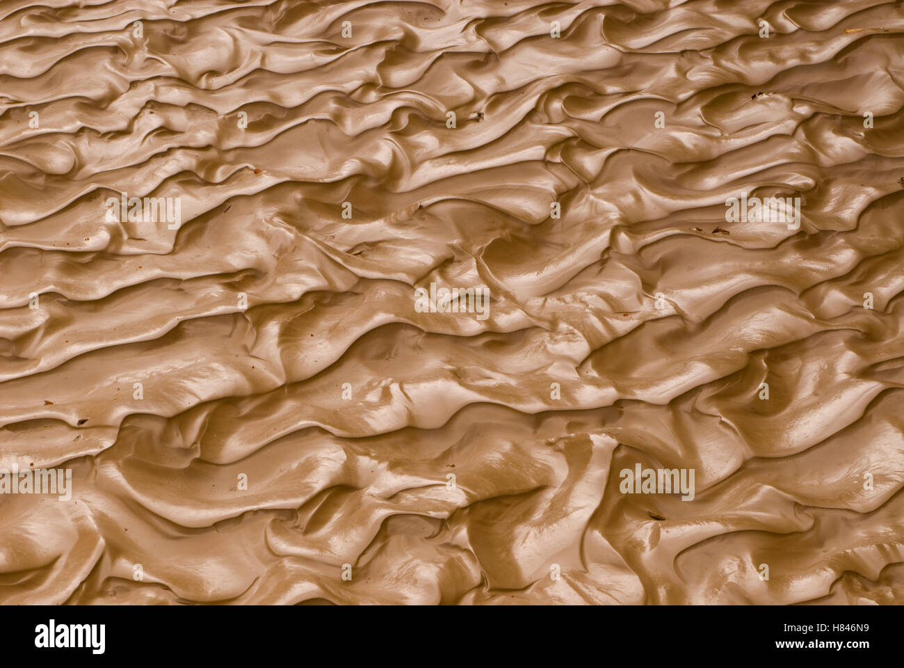 Mud patterns, Zion National Park, Utah Stock Photo - Alamy