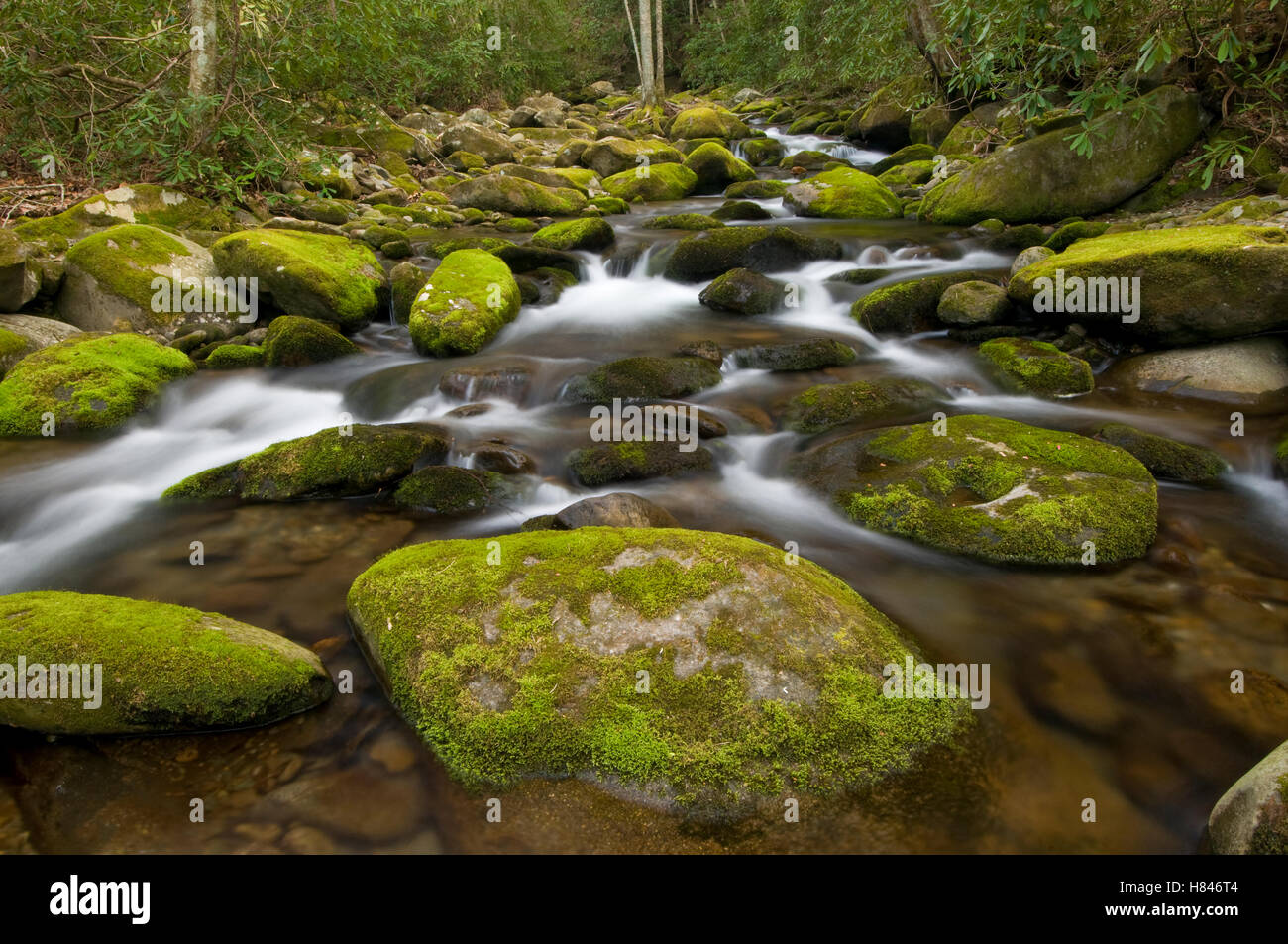 Stream and moss-covered boulders, Great Smoky Mountains National Park ...