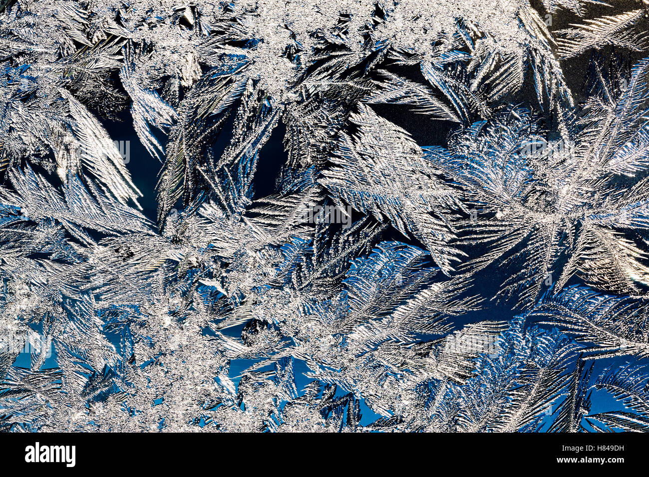 frosty christmas pattern at winter window glass Stock Photo - Alamy