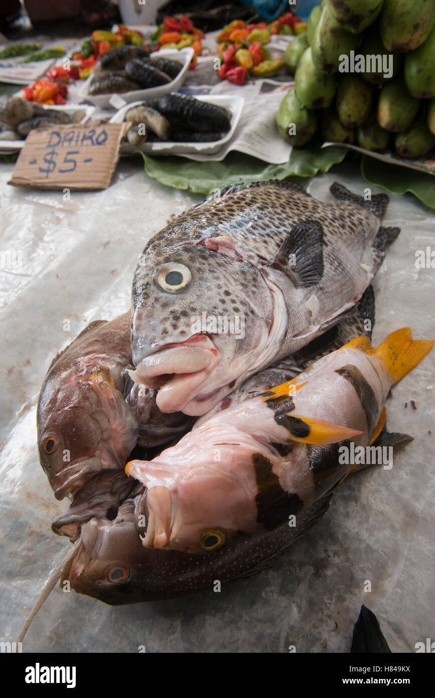 Fish being sold in market, Suva, Viti Levu, Fiji Stock Photo - Alamy