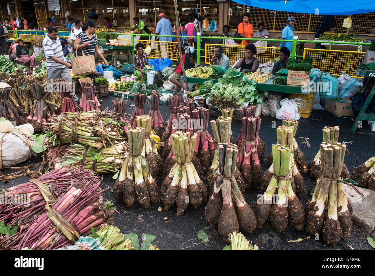 Taro (Colocasia esculenta) being sold in market, Suva, Viti Levu, Fiji ...